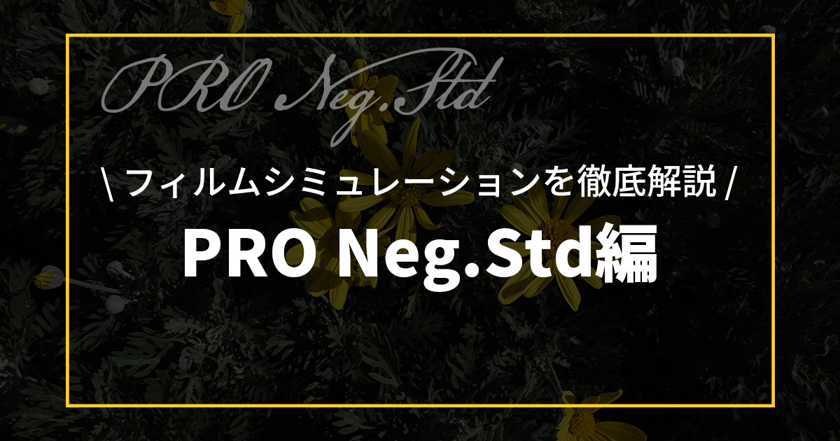 PRO Neg.Stdの色味の特徴を徹底解説【撮って出しの作例写真あり】 | 旅と暮らしのダイアログ
